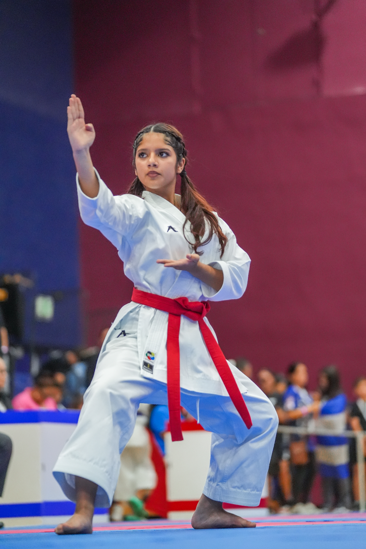 Miami Open Karate